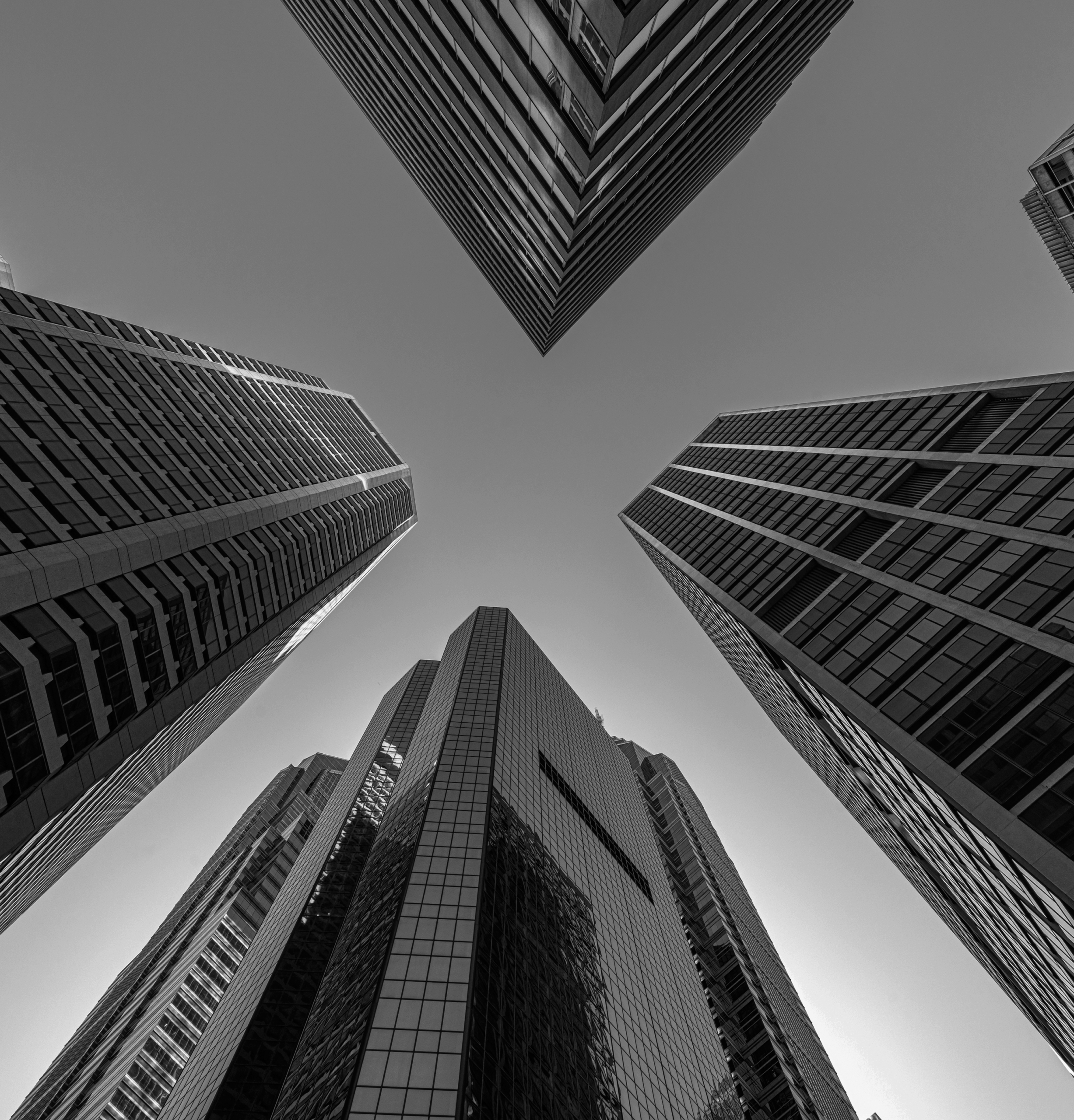 Thought Leadership - Rubin Rudman