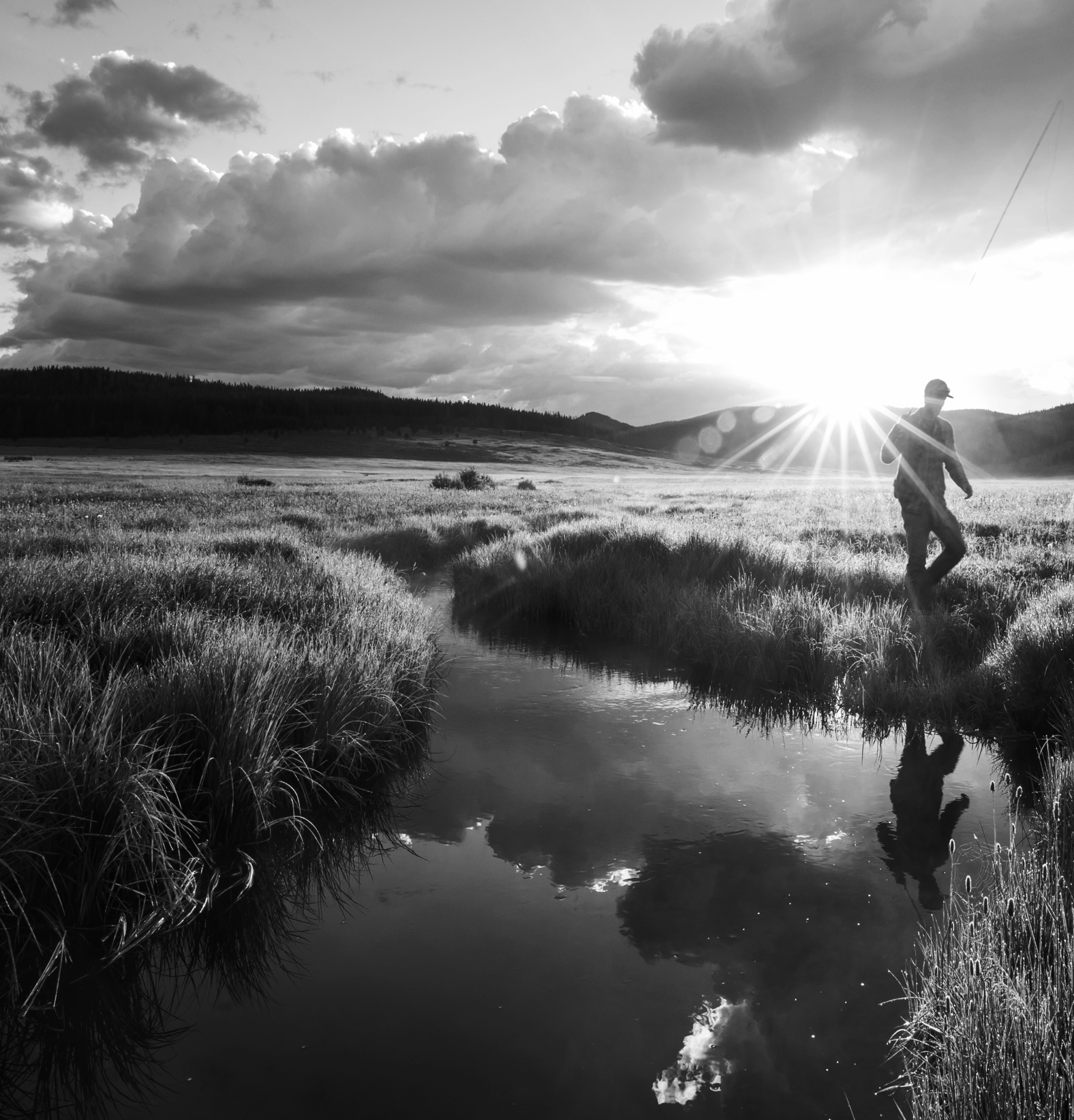 Rubin Rudman Adds Dawn Stolfi Stalenhoef as a Partner in Environmental ...